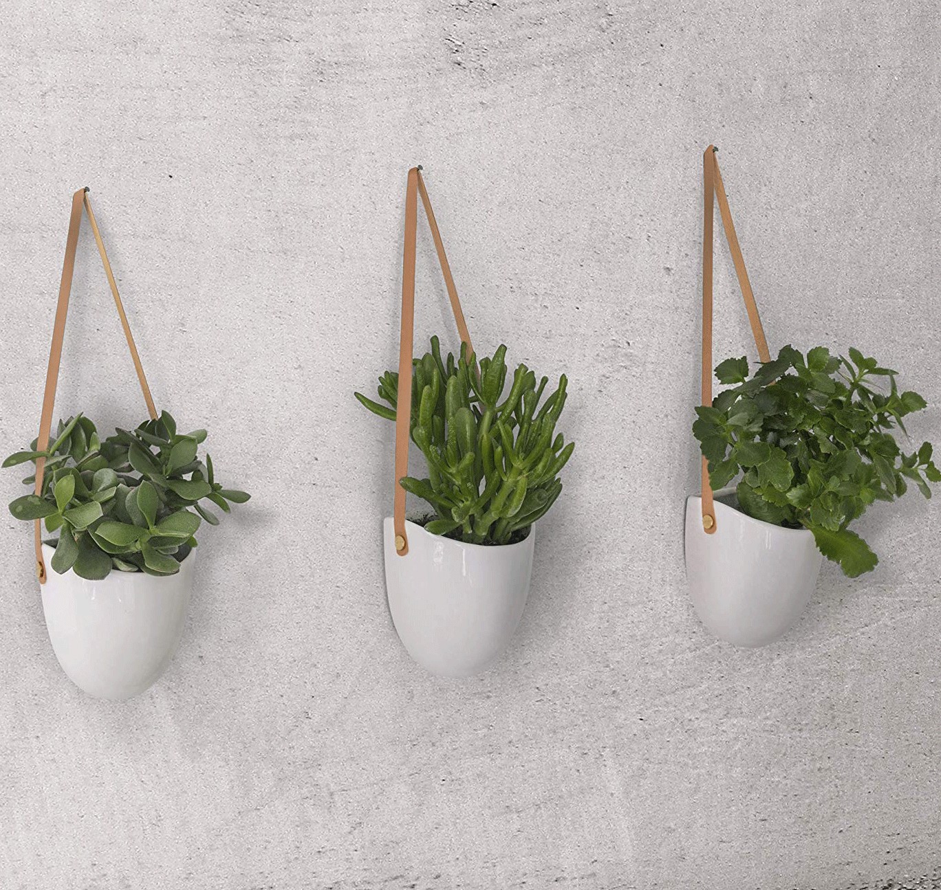 Home Décor Indoor Planters Plant King Rhinestone Plant Pot Home ...